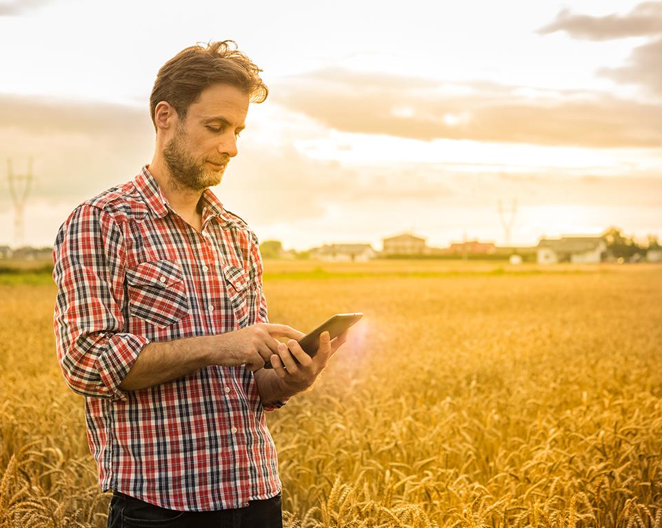 About us – Thoughtfish